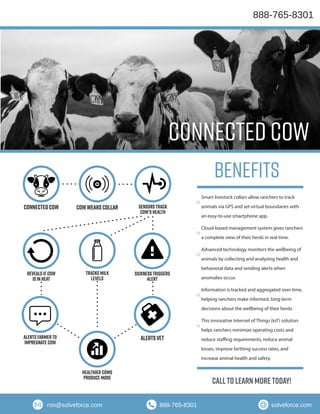 SolveForce Connected Cow | PDF