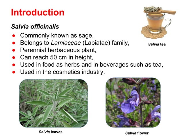 Solvent extraction of salvia leaves by decantation using the solvent ...