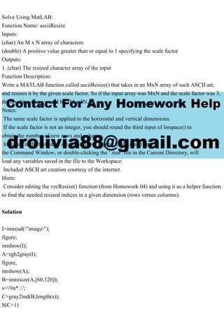 Solve Using MatLABFunction Name asciiResizeInputs(char) An .pdf