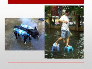 Solving flood problems | PDF