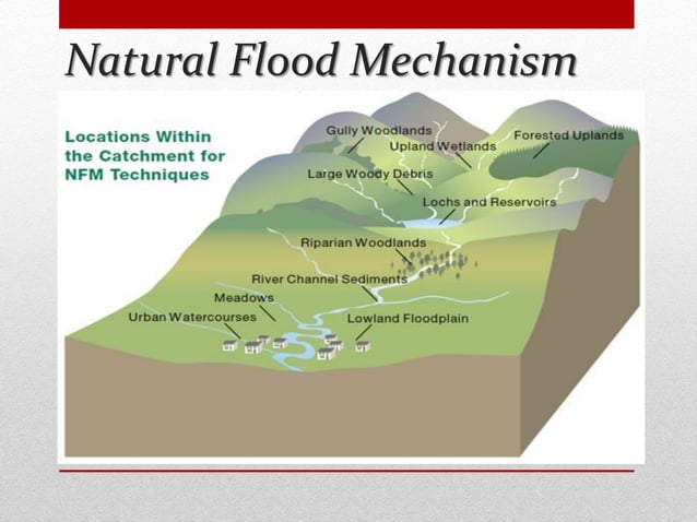 Solving flood problems | PDF