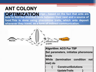 Solving TSP using Hybrid GACO | PPTX