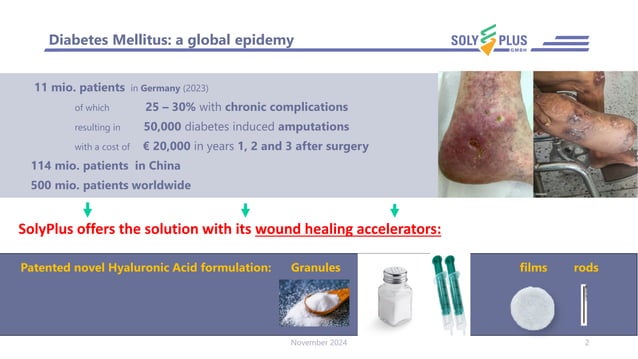 SolyPlus Pitch Deck China Innovation Engl Nov 2024 V6.pdf