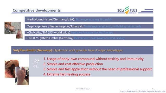 SolyPlus Pitch Deck China Innovation Engl Nov 2024 V6.pdf