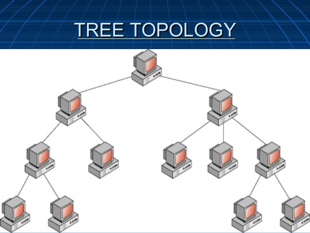 NETWORK TOPOLOGY