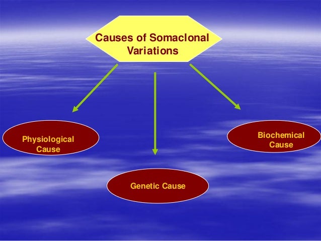 Somaclonal variation