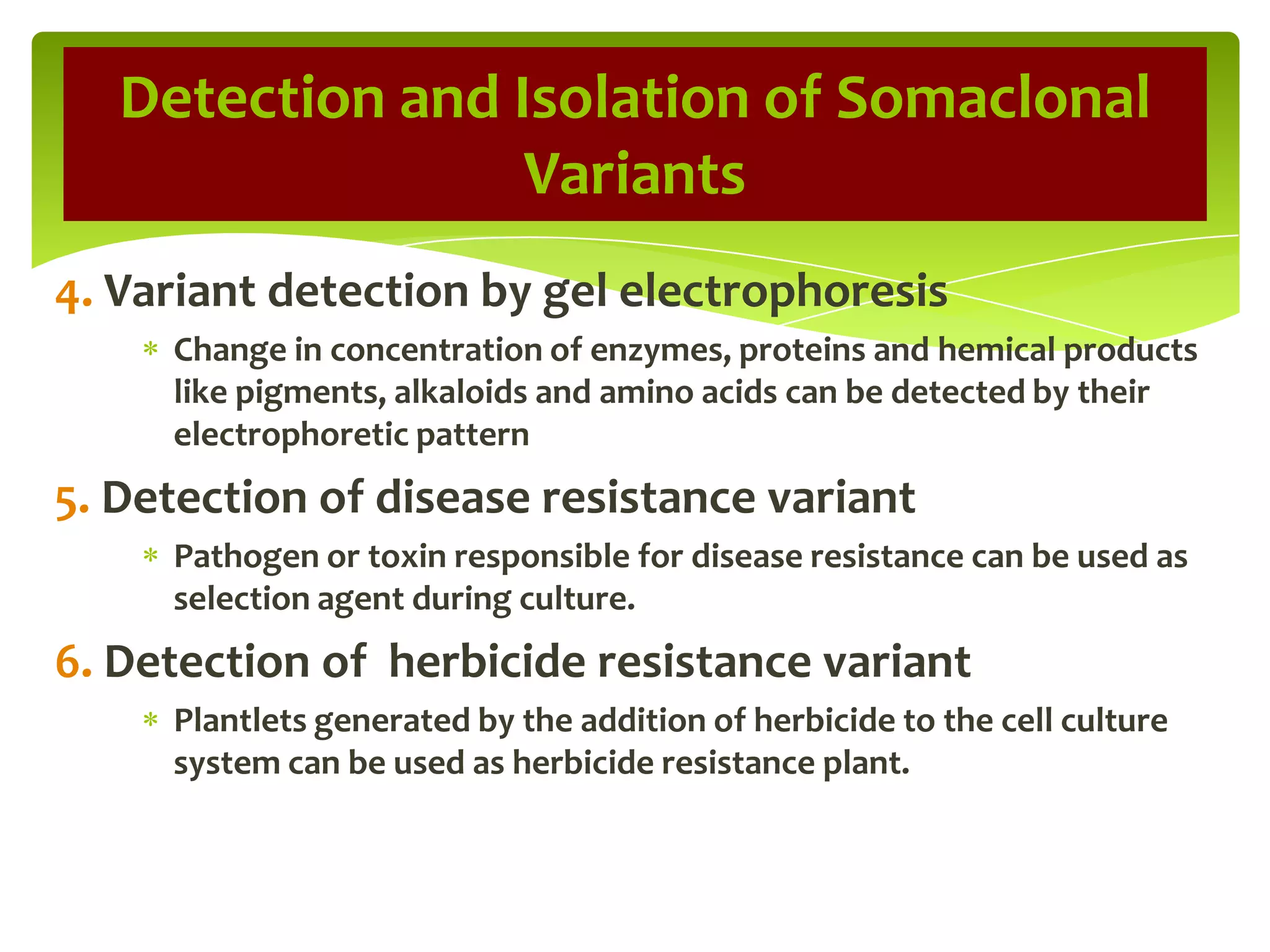 Somaclonal variation | PPTX