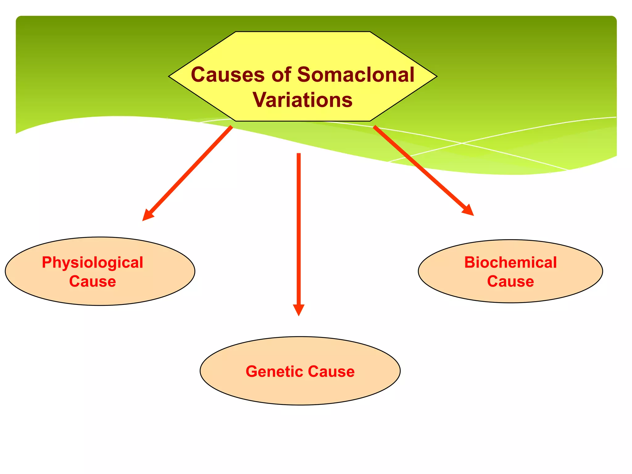Somaclonal variation | PPTX