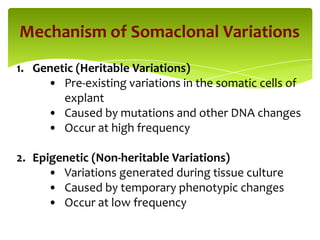 Somaclonal variation | PPTX