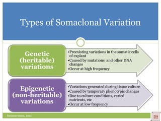 Somaclonal Variation and It's Crop Improvement | PPTX