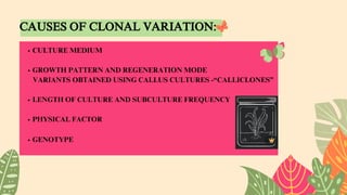 Somaclonal Variation (Plant Tissue Culture) .pdf