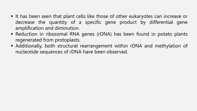 Somaclonal variation. plant biotechnologypptx | PPT Somaclonal variation. plant biotechnologypptx | PPT