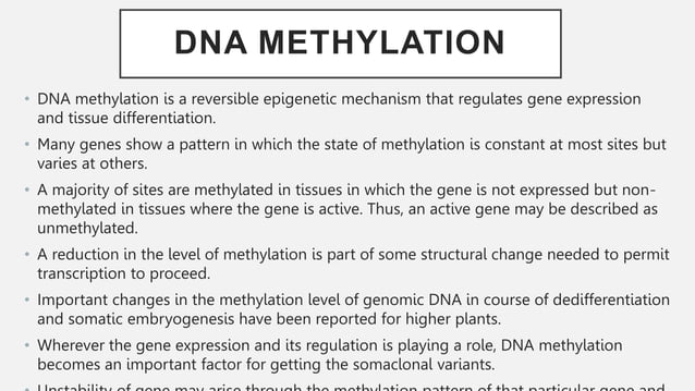 Somaclonal variation. plant biotechnologypptx | PPT Somaclonal variation. plant biotechnologypptx | PPT