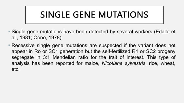 Somaclonal variation. plant biotechnologypptx | PPT Somaclonal variation. plant biotechnologypptx | PPT
