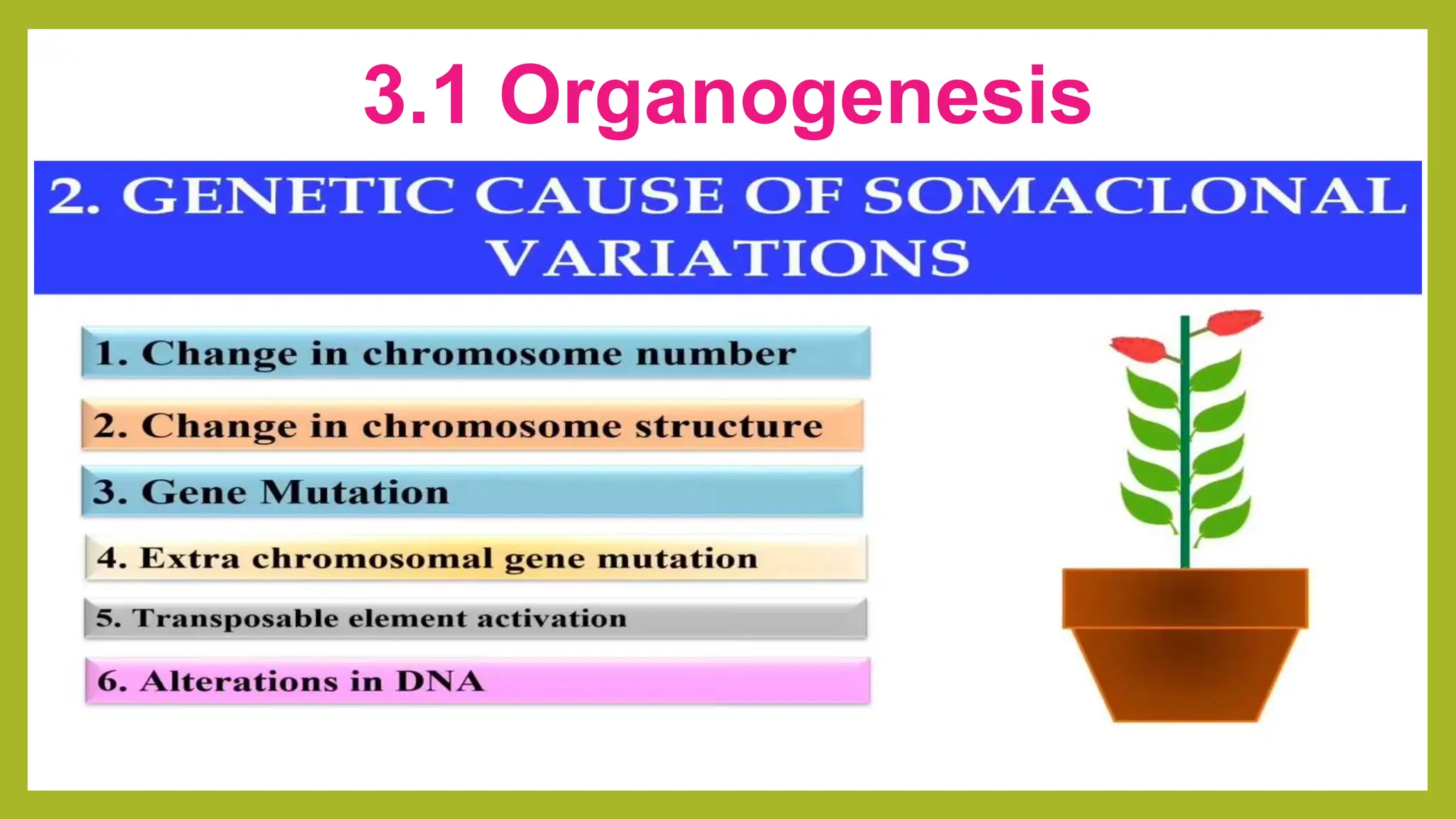 Somaclonal variation in plant Tissue Culture.pptx