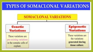 Somaclonal variation in plant Tissue Culture.pptx