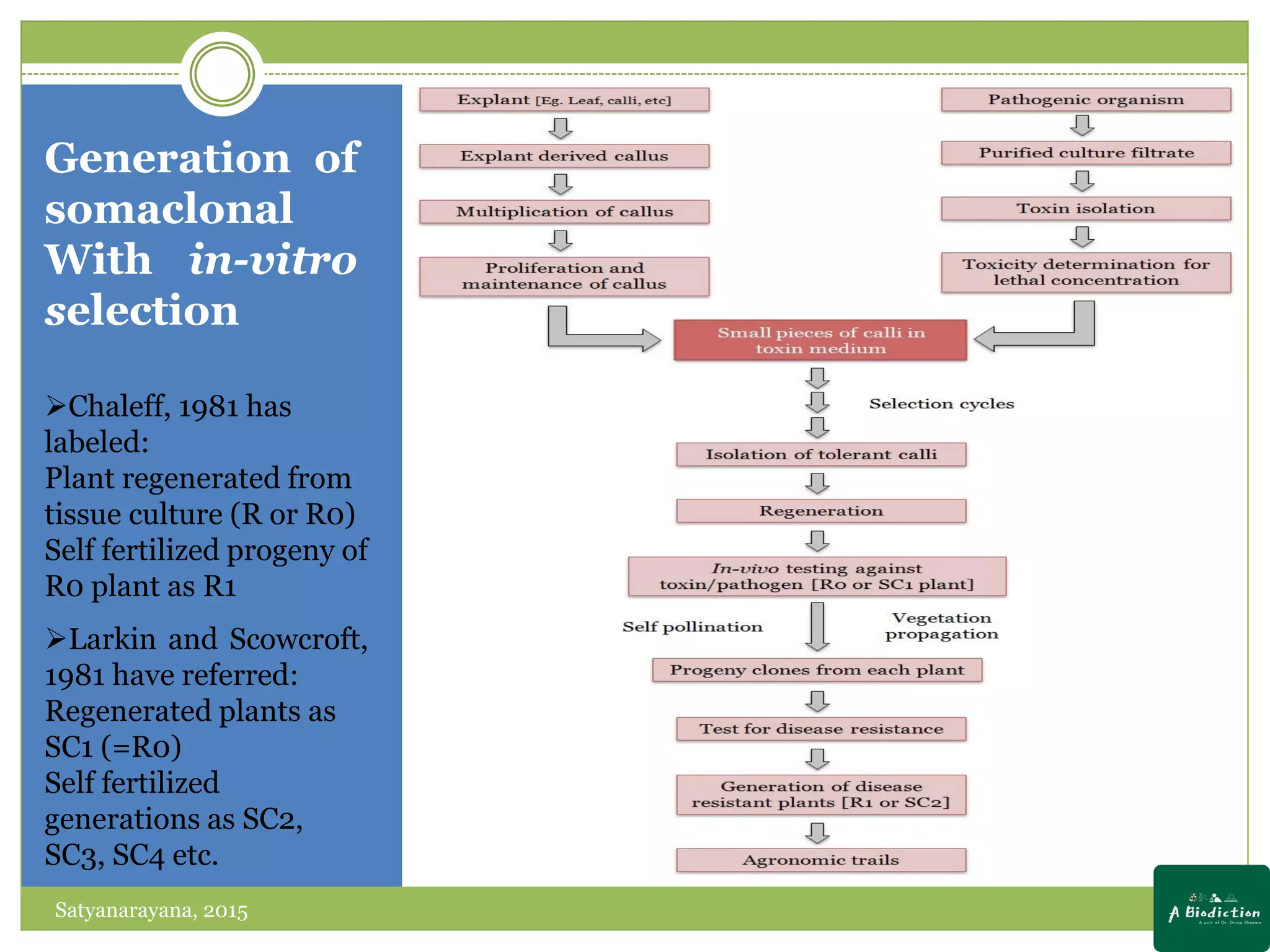 Somaclonal Variation and Its Crop Improvement | PDF