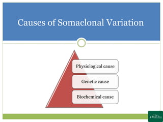 Somaclonal Variation and Its Crop Improvement | PDF