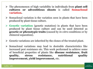 Somaclonal Variation and Its Crop Improvement | PDF