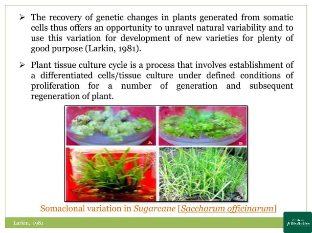 Somaclonal Variation and Its Crop Improvement | PDF | Biological Sciences | Science