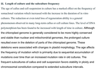 Somaclonal variation ppt, gametoclonal, plant tissue culture, plant ...