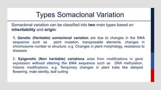 somaclonal variations in agriculture.pptx