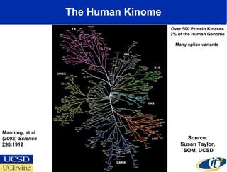 Microbial Metagenomics and Human Health | PPT