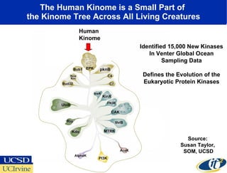 Microbial Metagenomics and Human Health | PPT