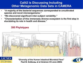 Microbial Metagenomics and Human Health | PPT
