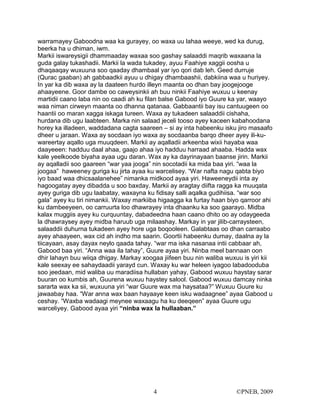 Somali 2009 PNEB (PUNTLAND NATIONAL EXAMINATION BOARD) | PDF