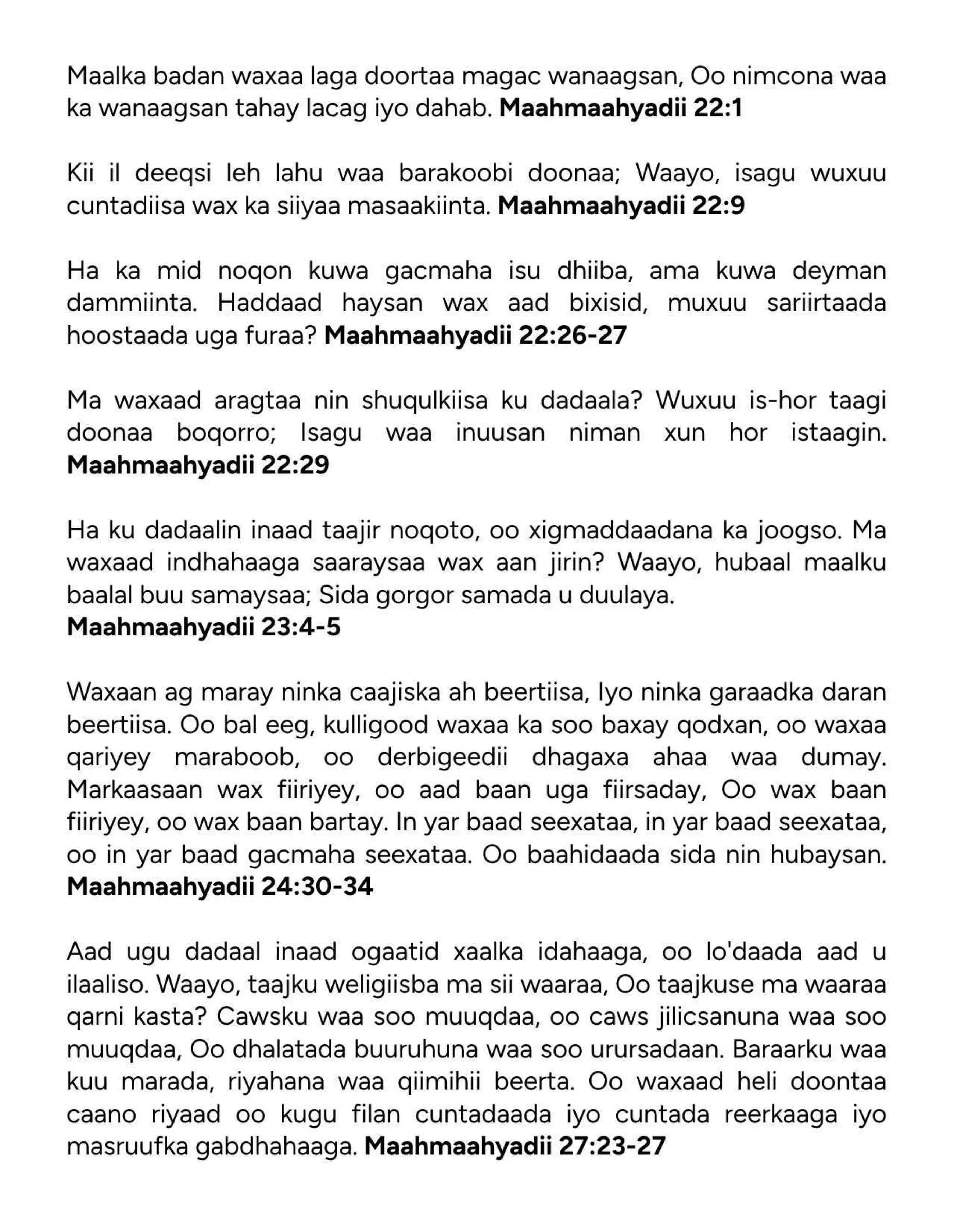 Somali - Management Principles from the Bible.pdf | Free Download