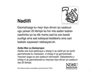 Keep Your Food Safe - Somalian | PPT