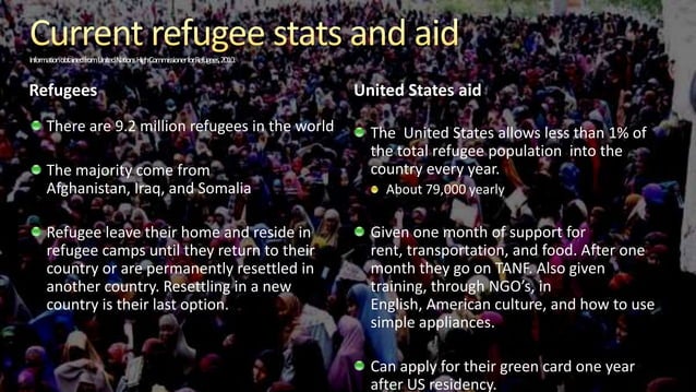 Somali immigration power point | PPT