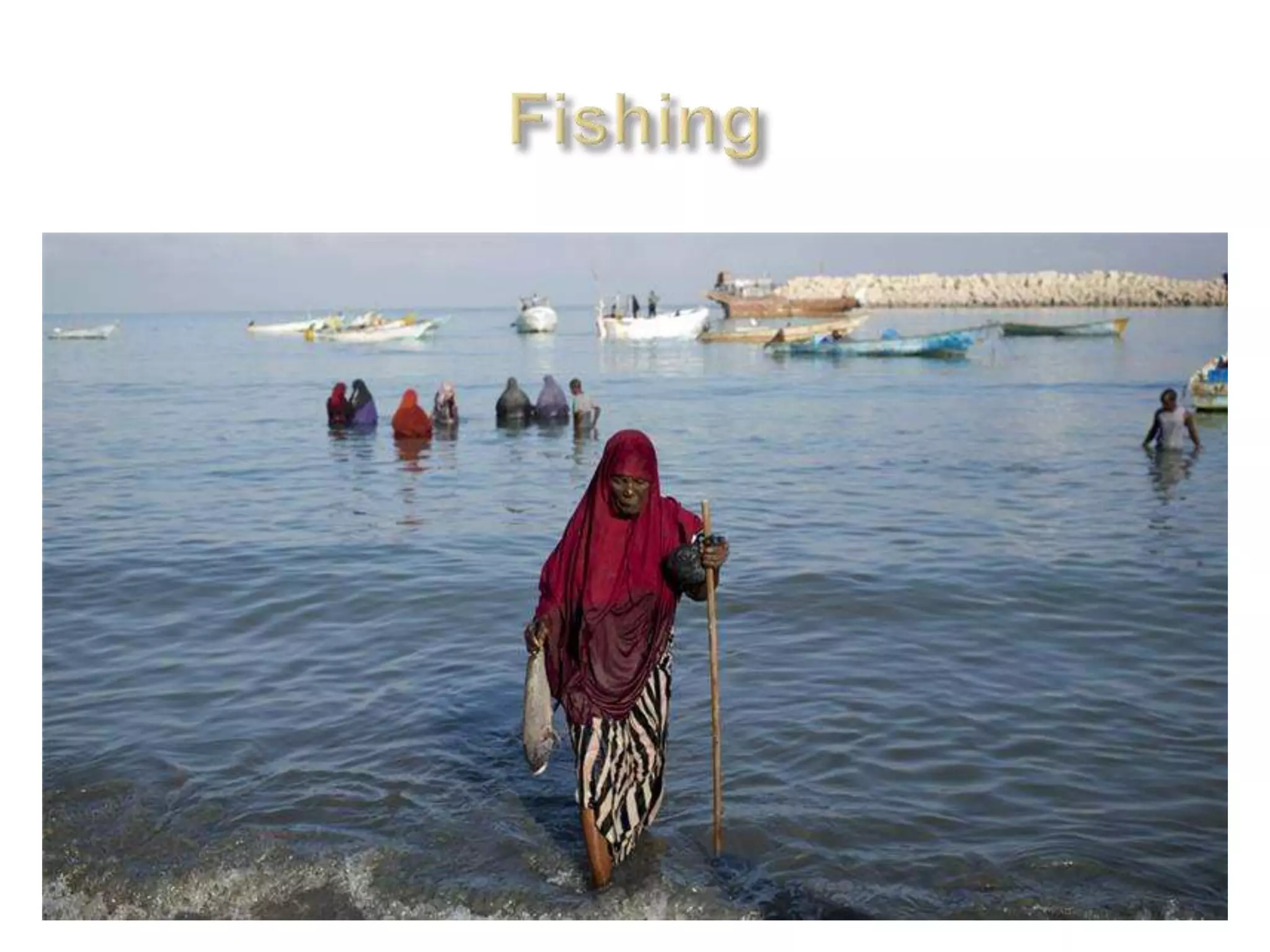 Somali resources and government structure | PPTX