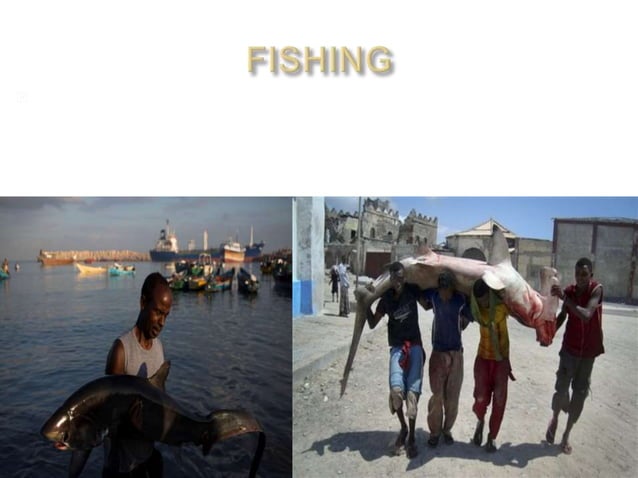 Somali resources and government structure | PPT