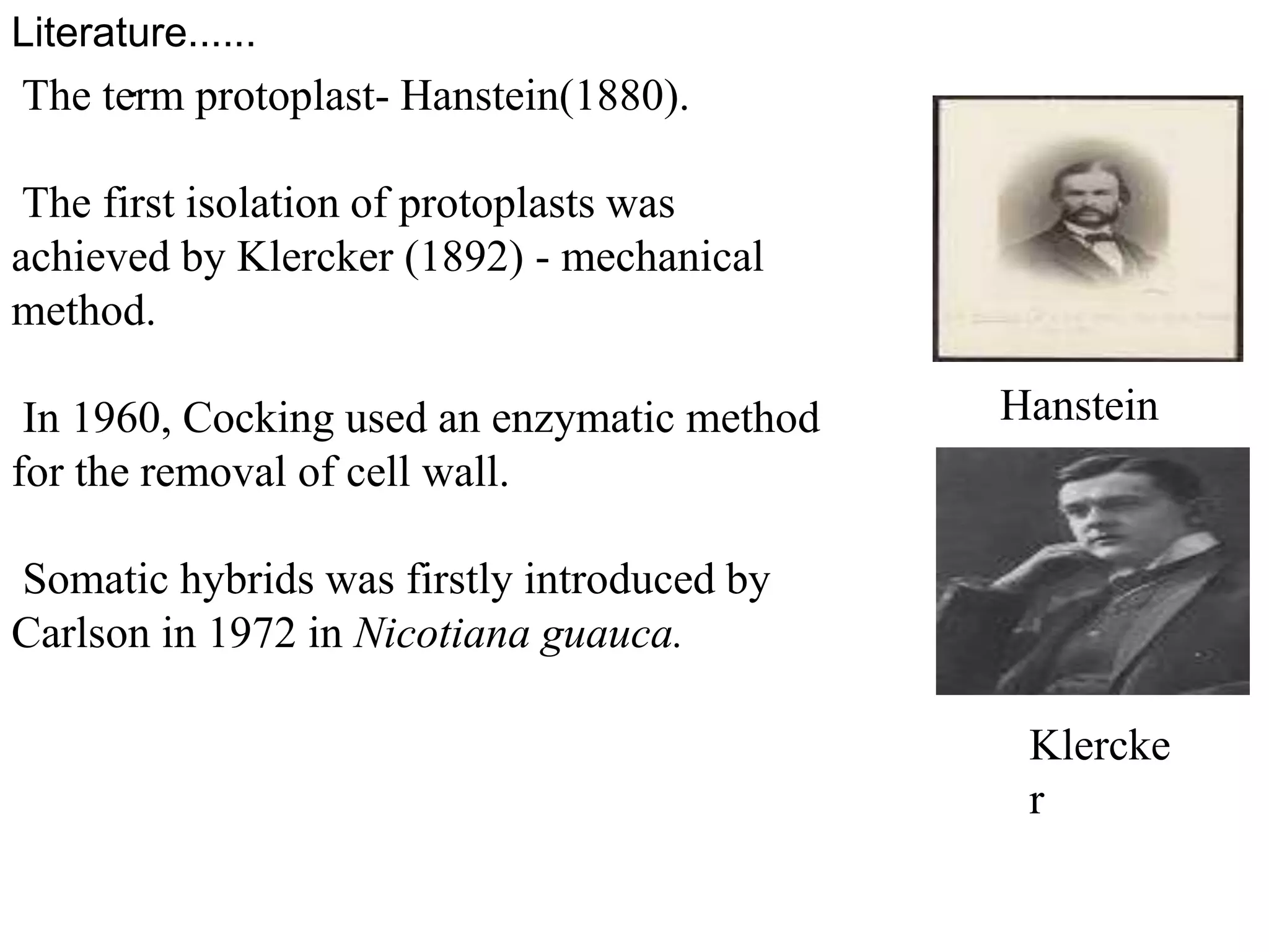 somatic Hybridization and it's significance | PPTX