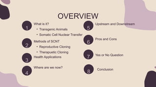 somatic-cell-nuclear-transfer-scnt_20240421_181131_0000-1.pptx