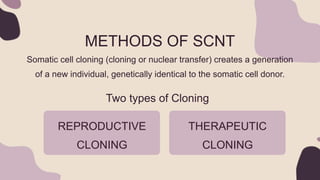 somatic-cell-nuclear-transfer-scnt_20240421_181131_0000-1.pptx