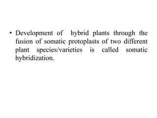 somatic-hybridization.ppt