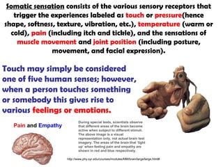 Somatic.specialsenses | PPT