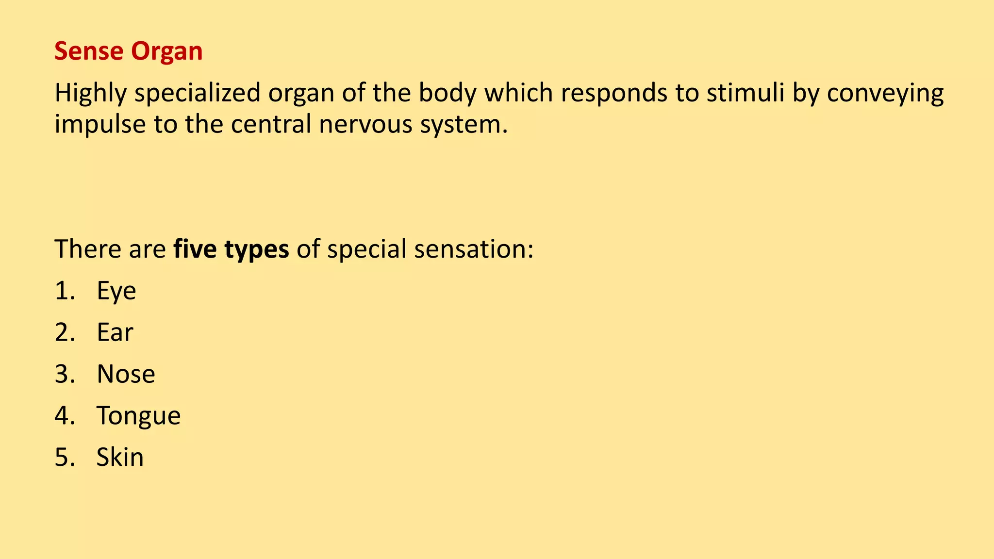 Somatic and special senses | PPTX