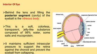 Somatic and special senses | PPTX