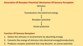 Somatic and special senses | PPTX