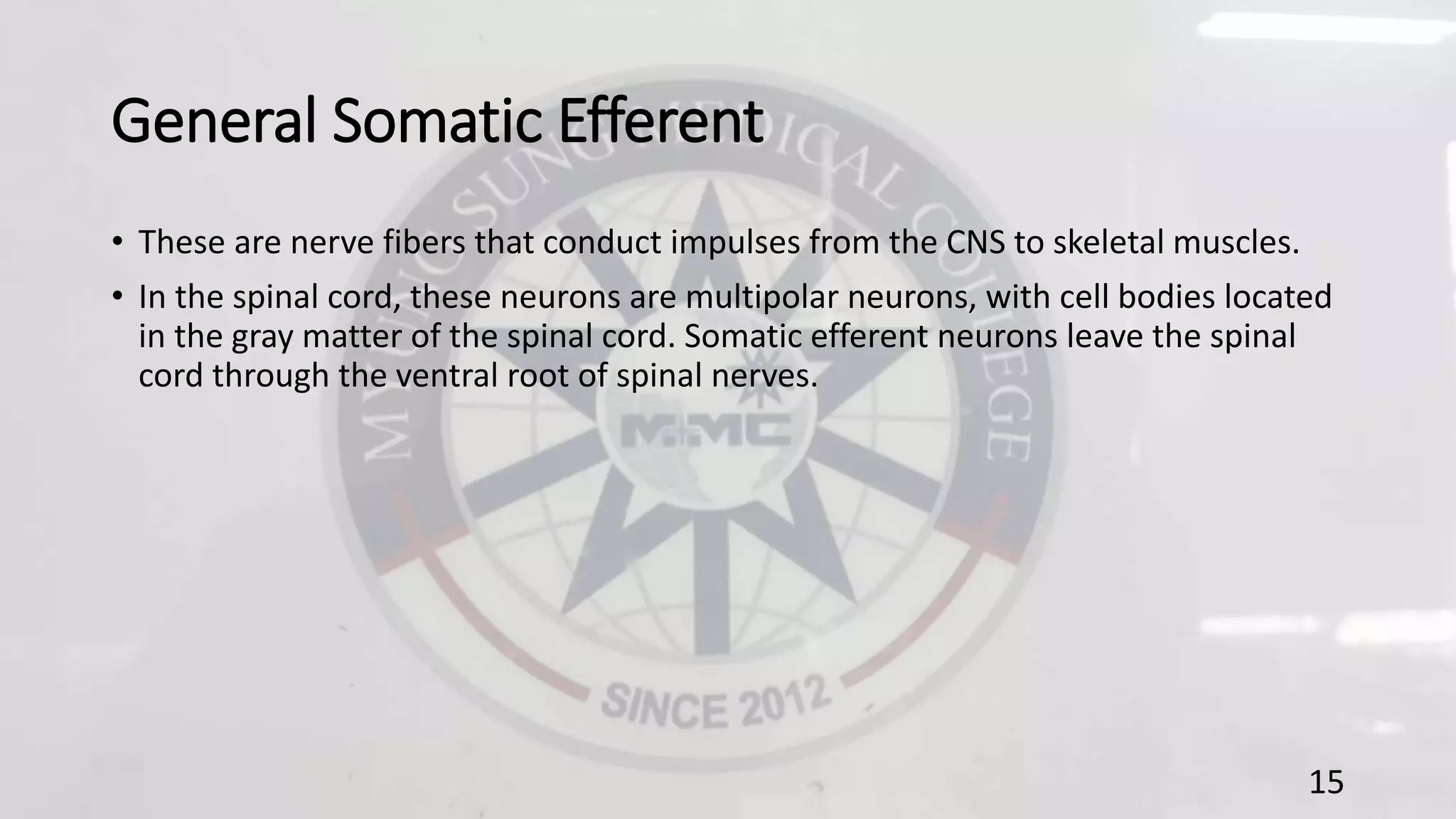 Somatic and visceral nerve fibers | PPTX