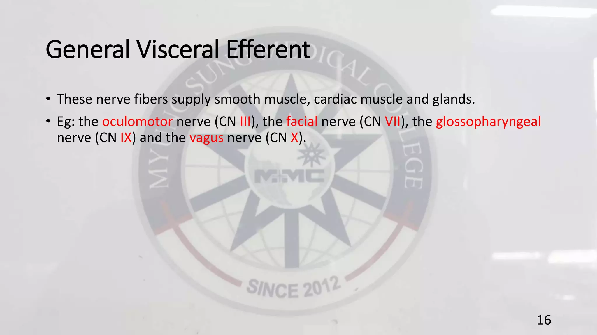 Somatic and visceral nerve fibers | PPTX