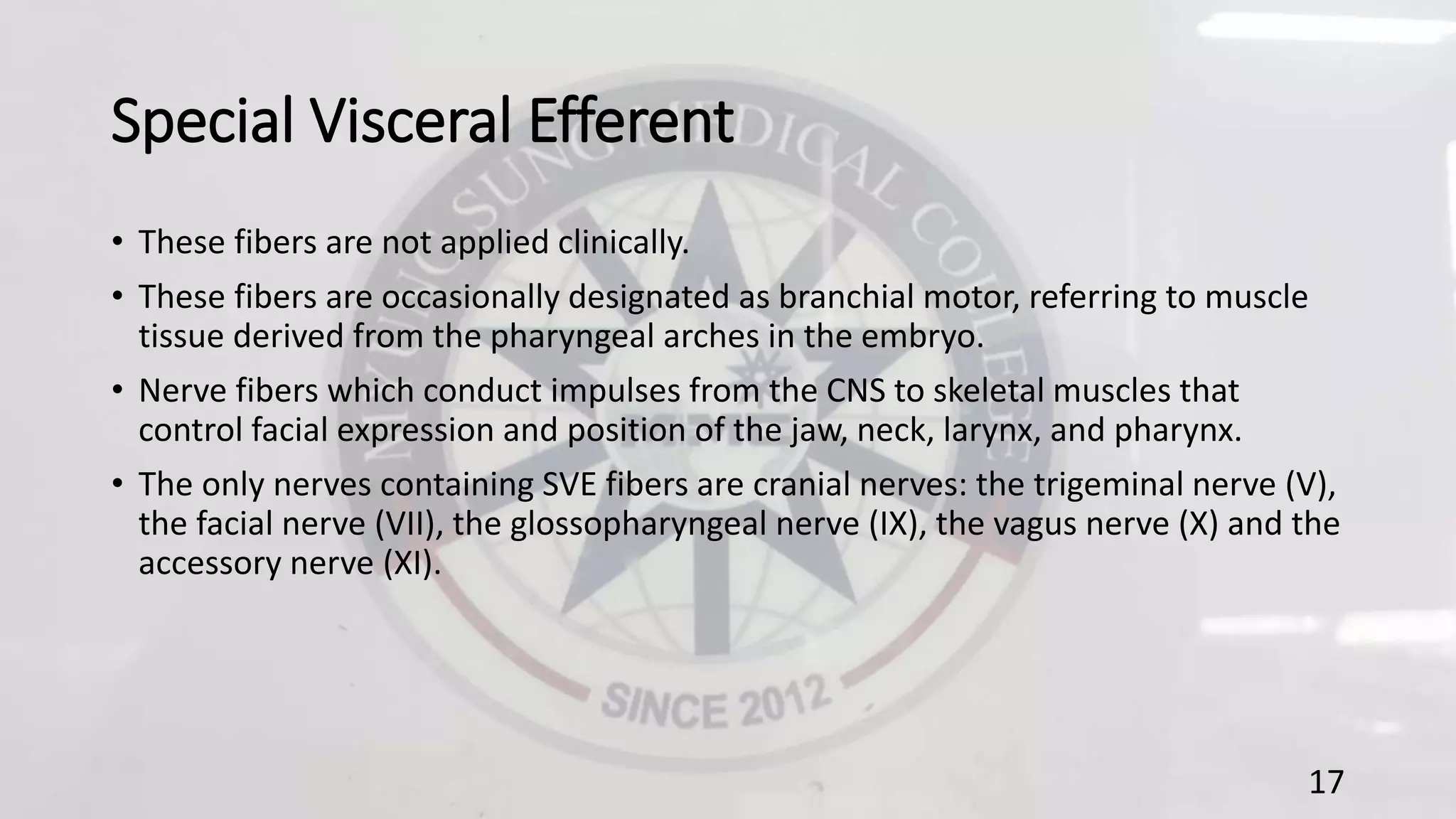 Somatic and visceral nerve fibers | PPTX