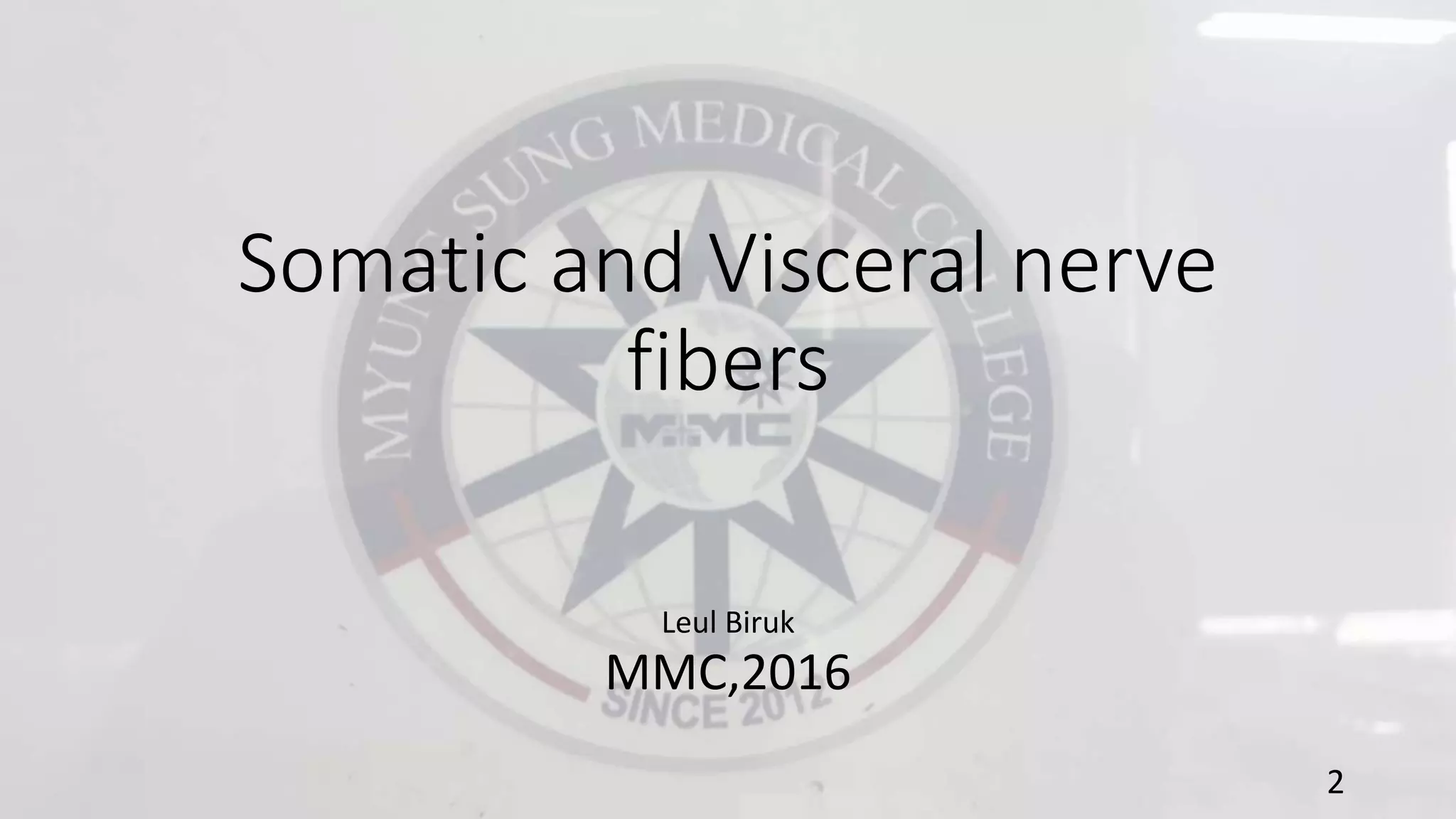 Somatic and visceral nerve fibers | PPTX