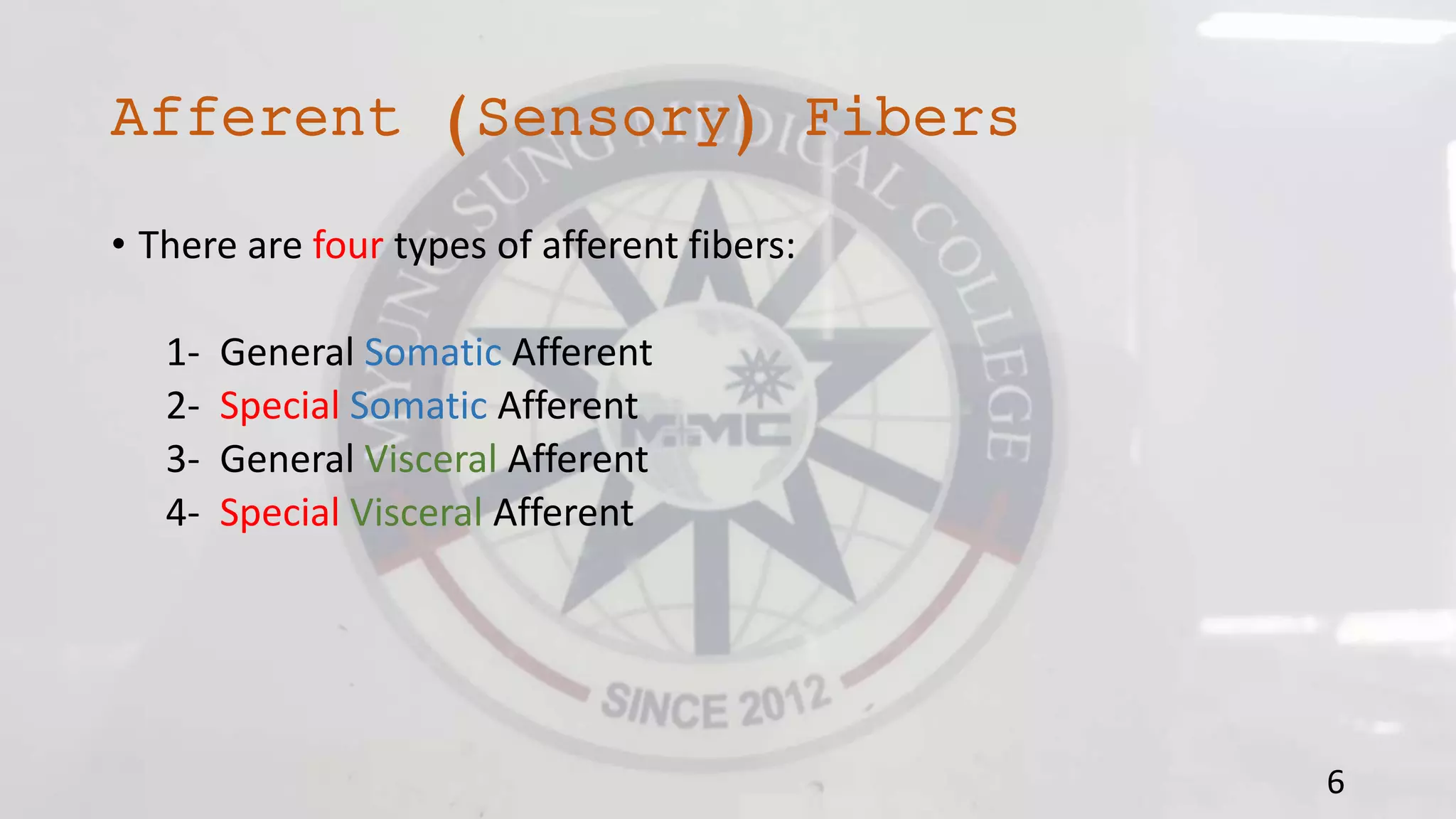 Somatic and visceral nerve fibers | PPTX