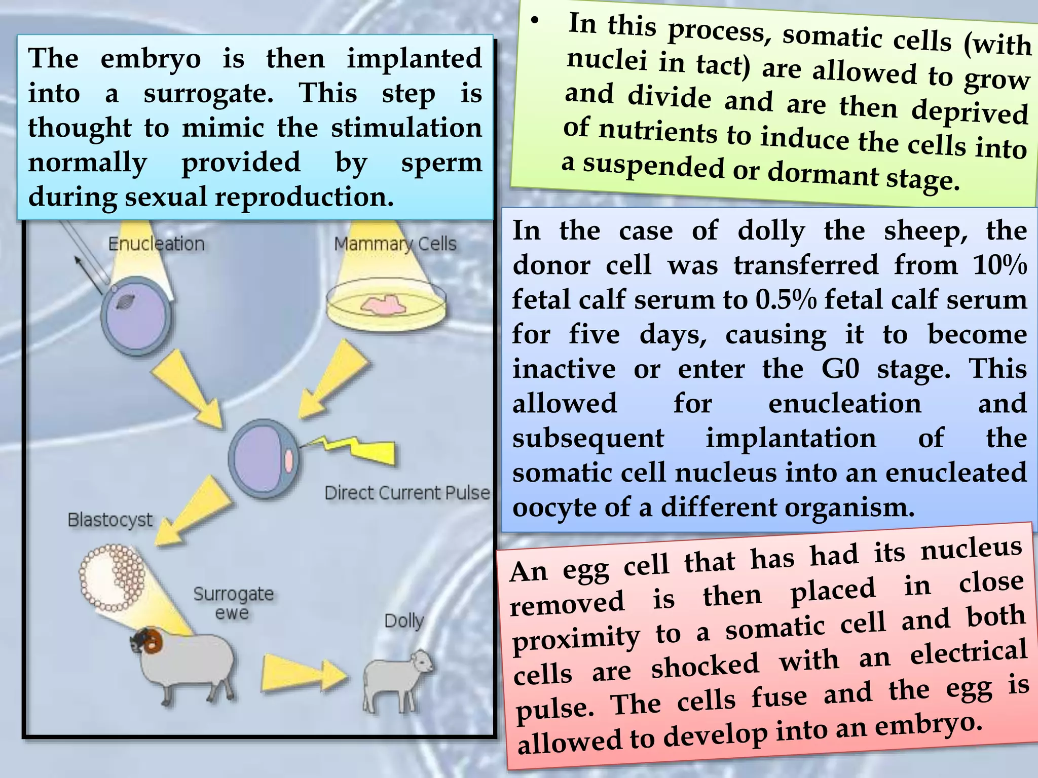 Somatic cell cloning | PPTX