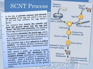 Somatic cell cloning | PPTX